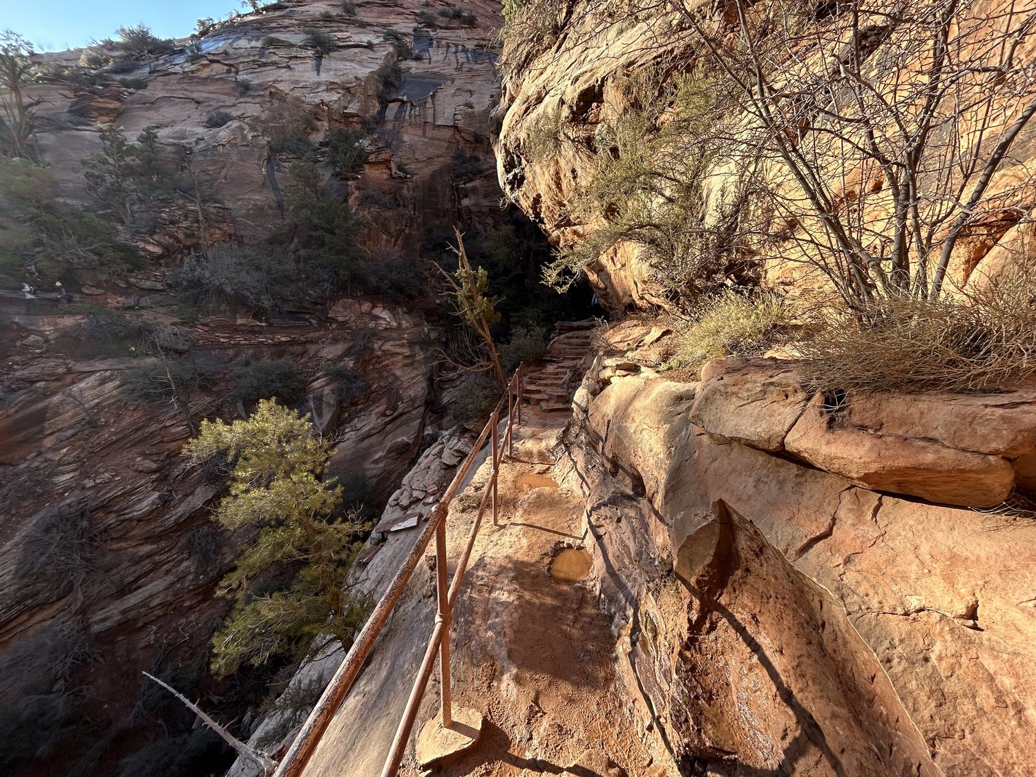 Hiking the Canyon Overlook Trail in Zion National Park — noahawaii