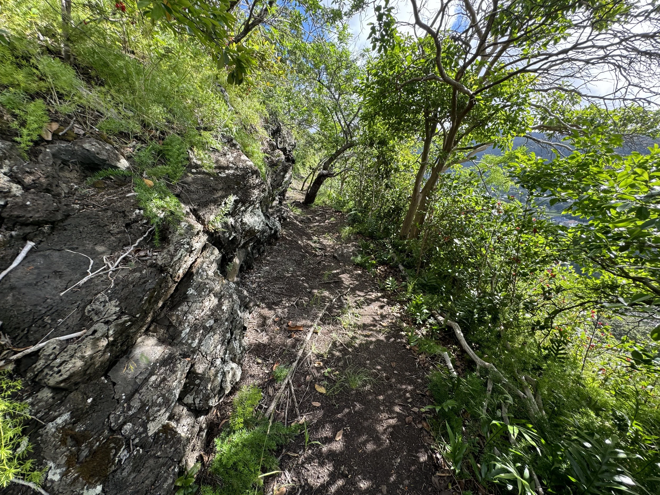Hiking the Kapālama Ridge Trail to Puʻu Lanihuli on Oʻahu, Hawaiʻi ...