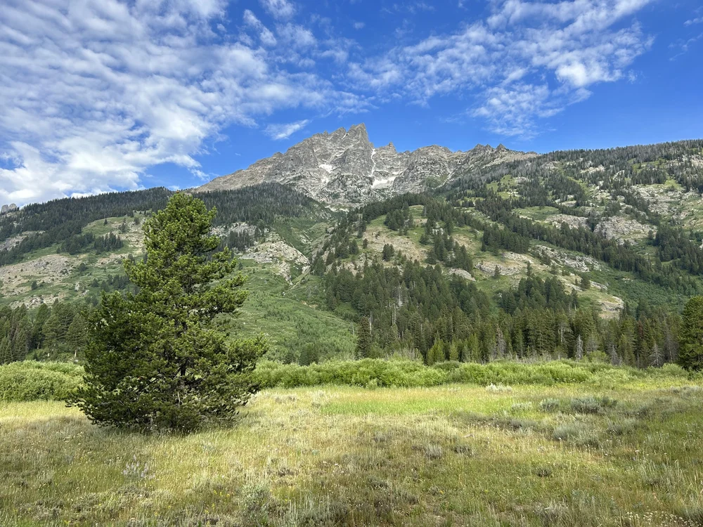 Hiking the Moose Ponds Loop Trail in Grand Teton National Park — noahawaii