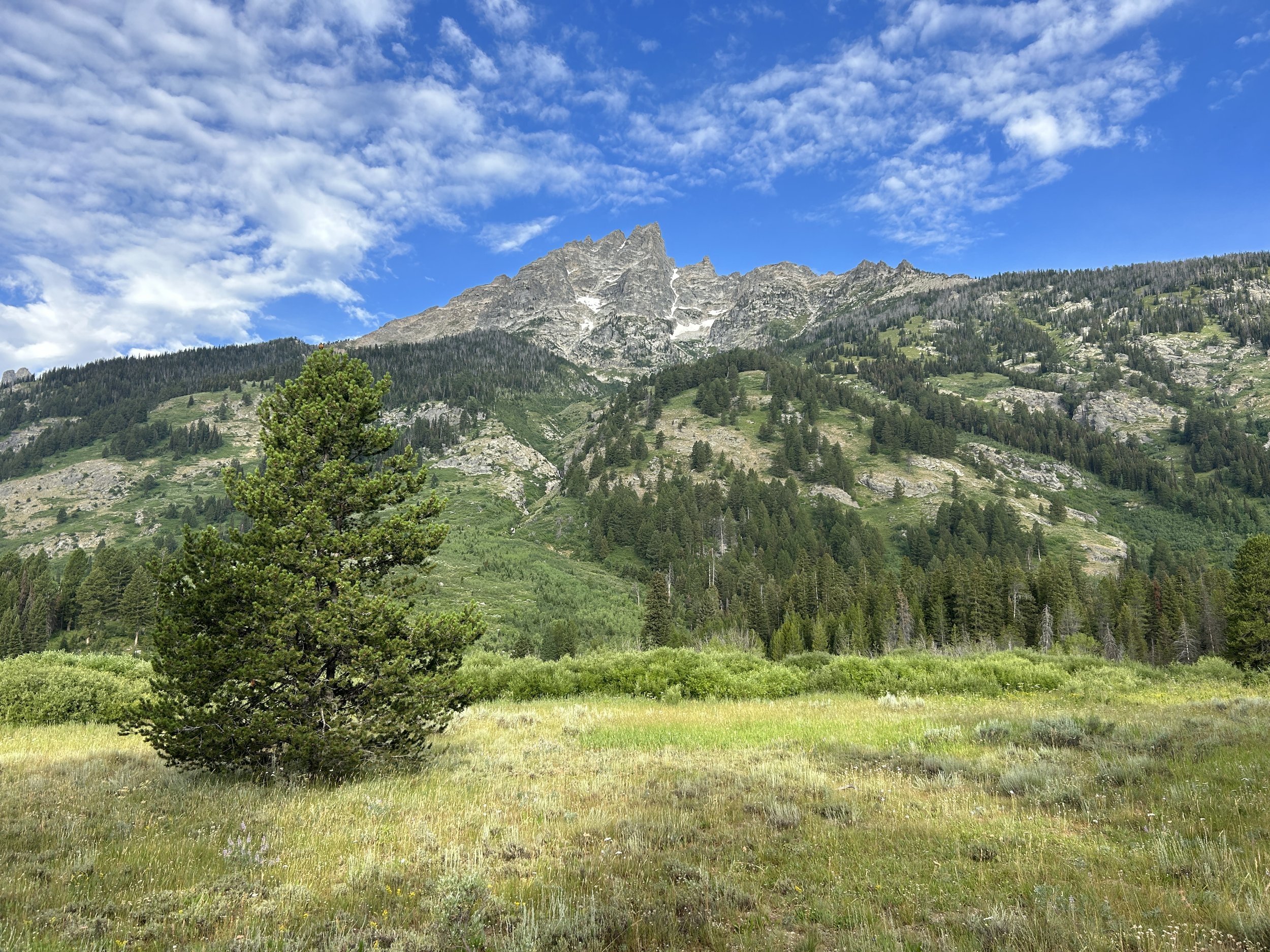 Hiking the Moose Ponds Loop Trail in Grand Teton National Park — noahawaii