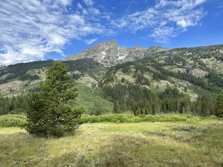 Hiking the Moose Ponds Loop Trail in Grand Teton National Park — noahawaii