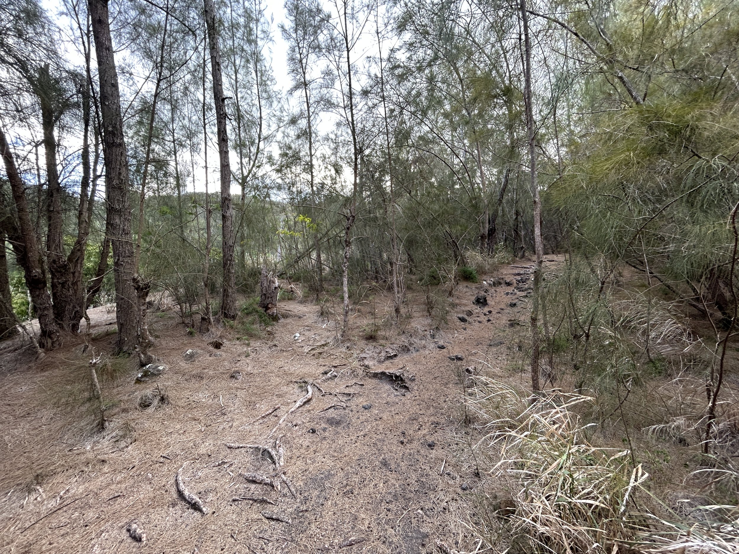 Hiking the Pyramid Rock Loop Trail on Oʻahu — noahawaii