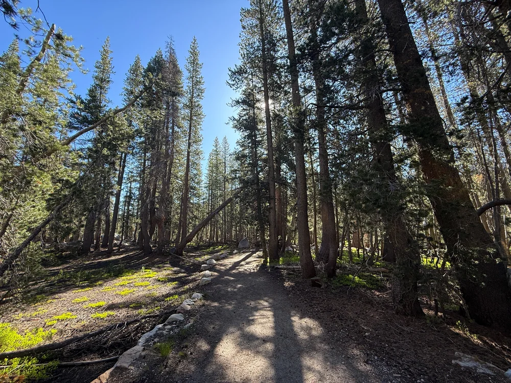 Hiking the Clouds Rest Trail in Yosemite National Park — noahawaii