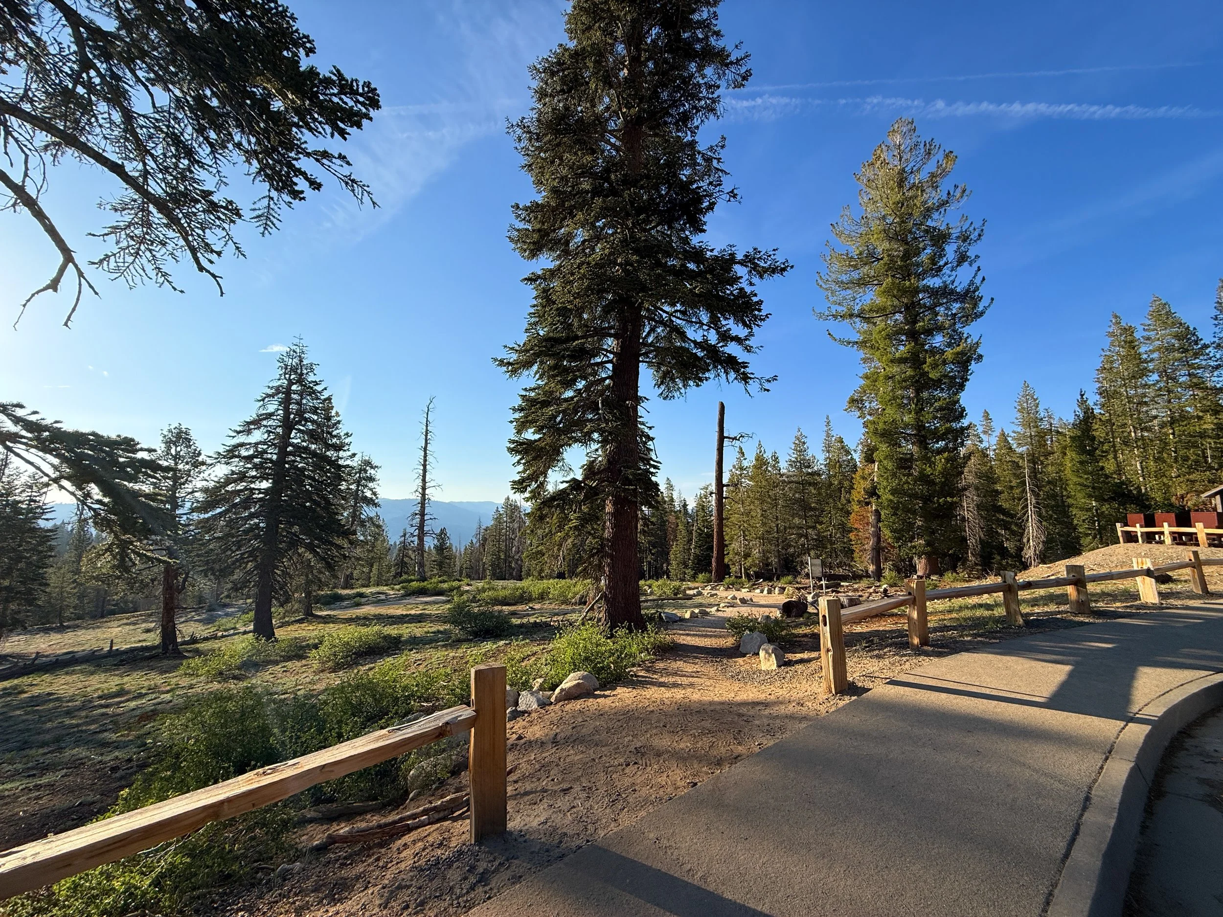 Hiking the Sentinel Dome Trail in Yosemite National Park — noahawaii