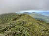 Hiking the Kīpapa Ridge Trail on Oʻahu, Hawaiʻi — noahawaii