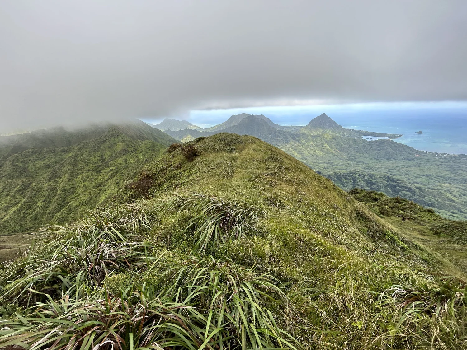 Hiking the Kīpapa Ridge Trail on Oʻahu, Hawaiʻi — noahawaii