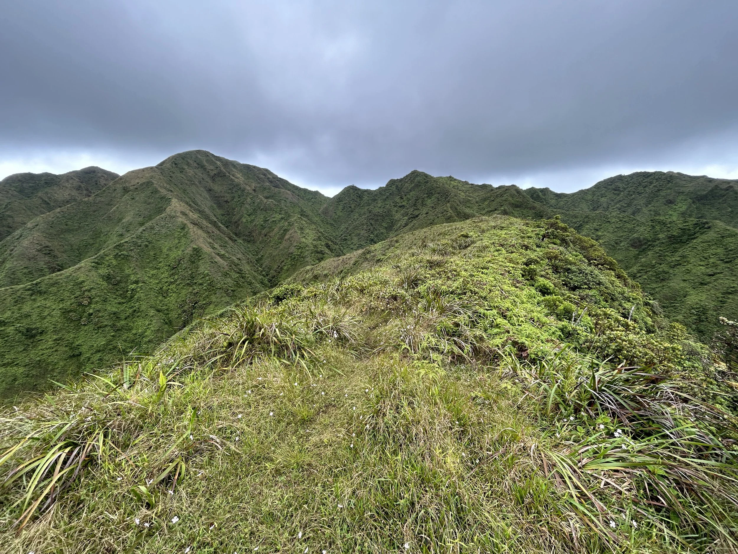 Hiking the Mānana Ridge Trail on Oʻahu — noahawaii