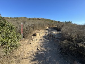 Hiking the Cowles Mountain Trail: The Tallest Peak in San Diego ...