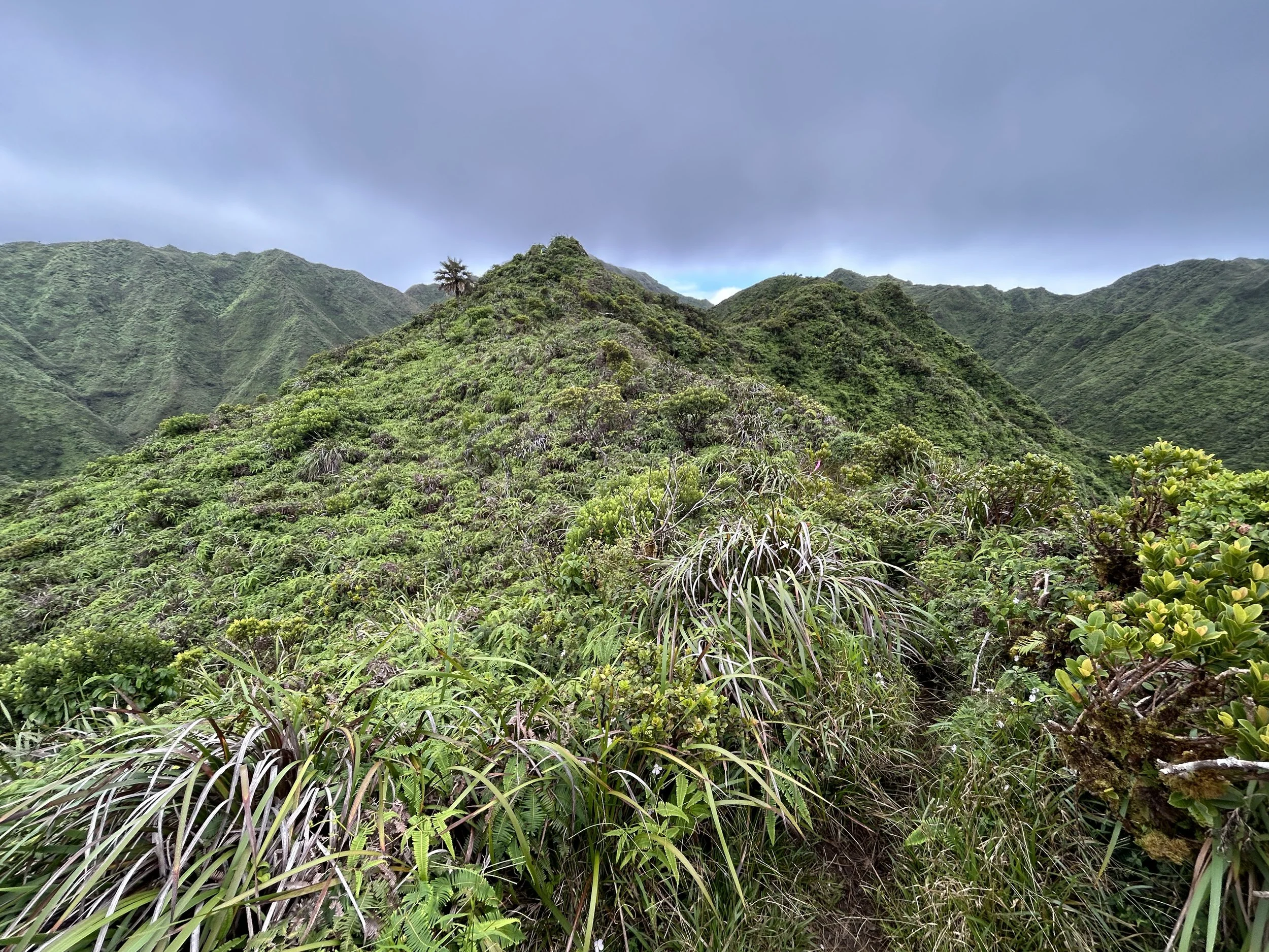 Hiking the Mānana Ridge Trail on Oʻahu — noahawaii