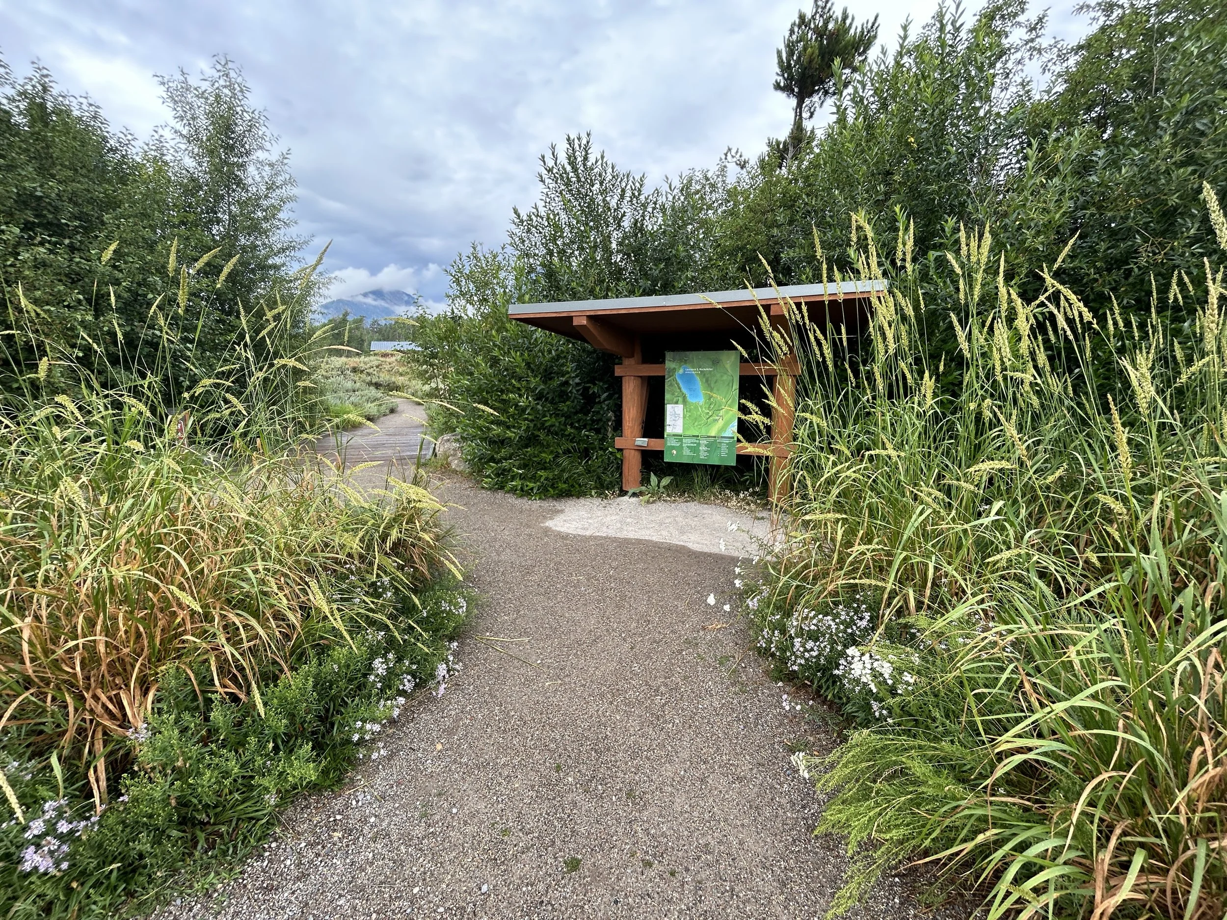 Hiking to the Phelps Lake Jumping Rock in Grand Teton National Park ...