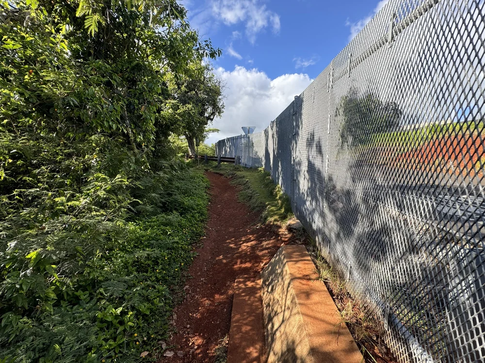 Hiking the Waimano Ridge Trail on Oʻahu, Hawaiʻi — noahawaii