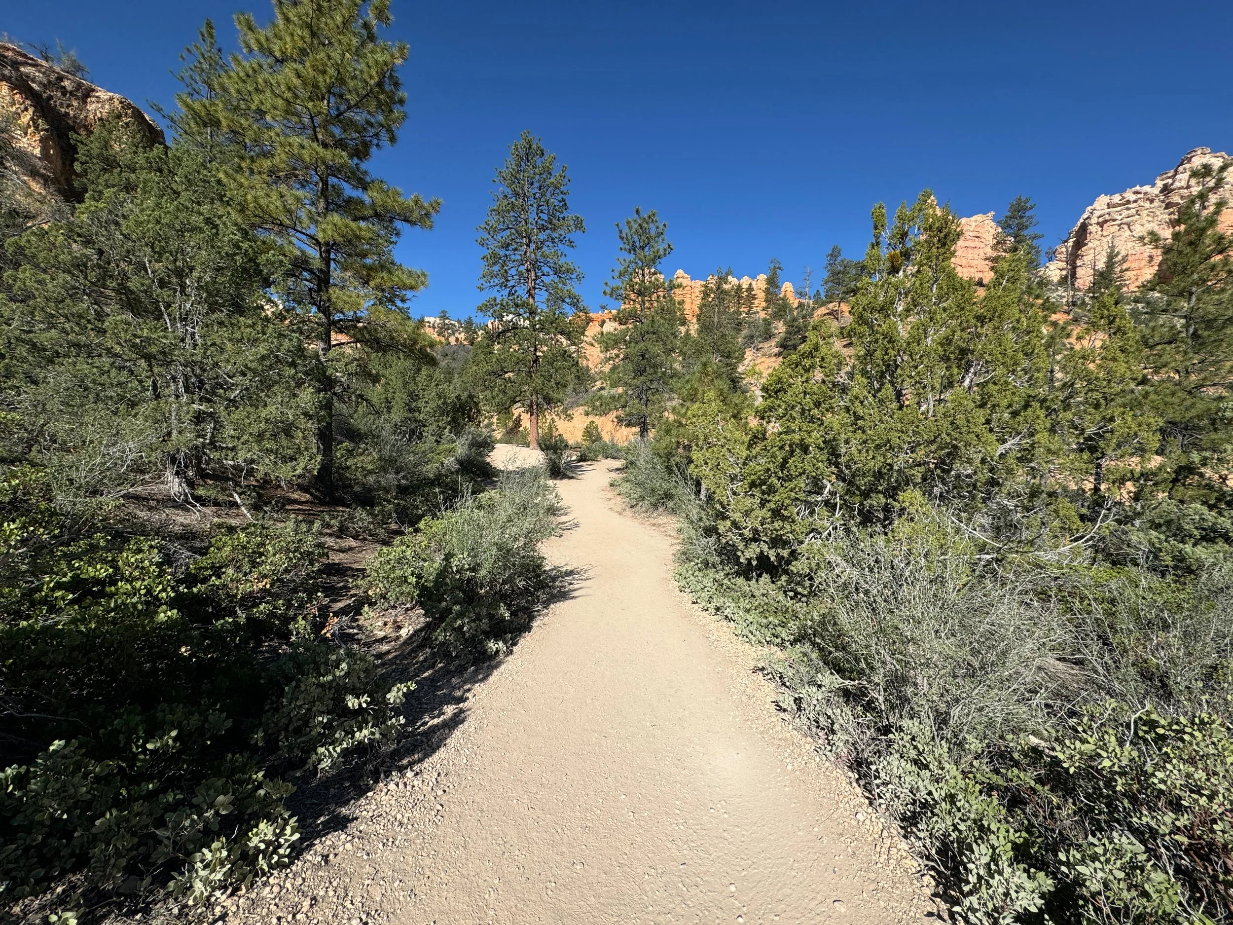 Hiking the Mossy Cave Trail in Bryce Canyon National Park — noahawaii