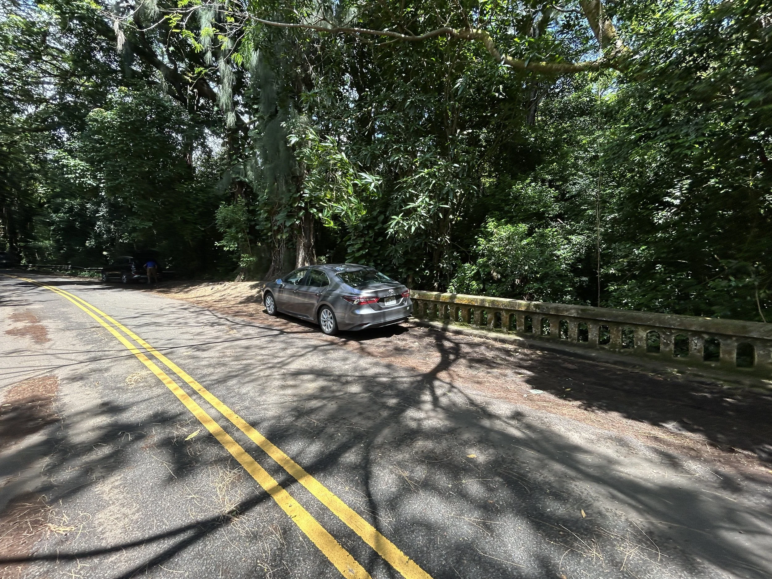 Hiking the Judd Trail & Jackass Ginger Pool on Oʻahu, Hawaiʻi — noahawaii