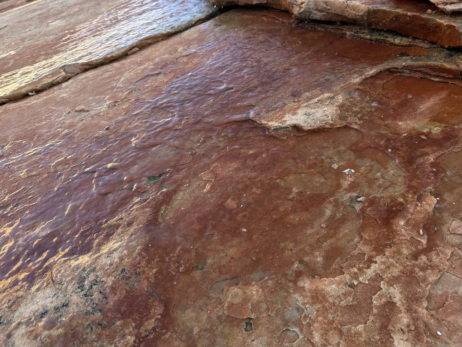 Hiking the Weeping Rock Trail in Zion National Park — noahawaii