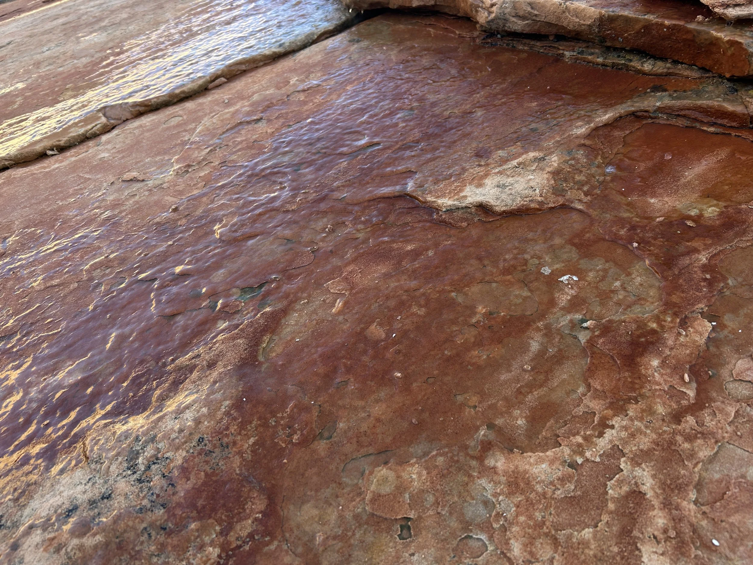 Hiking the Weeping Rock Trail in Zion National Park — noahawaii