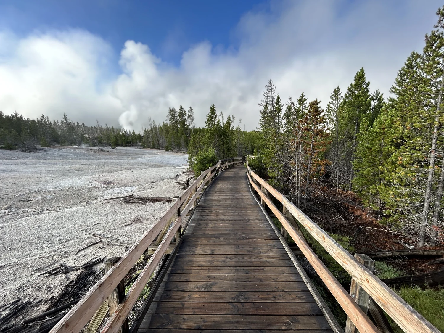 Hiking the Norris Geyser Basin Trail in Yellowstone National Park ...