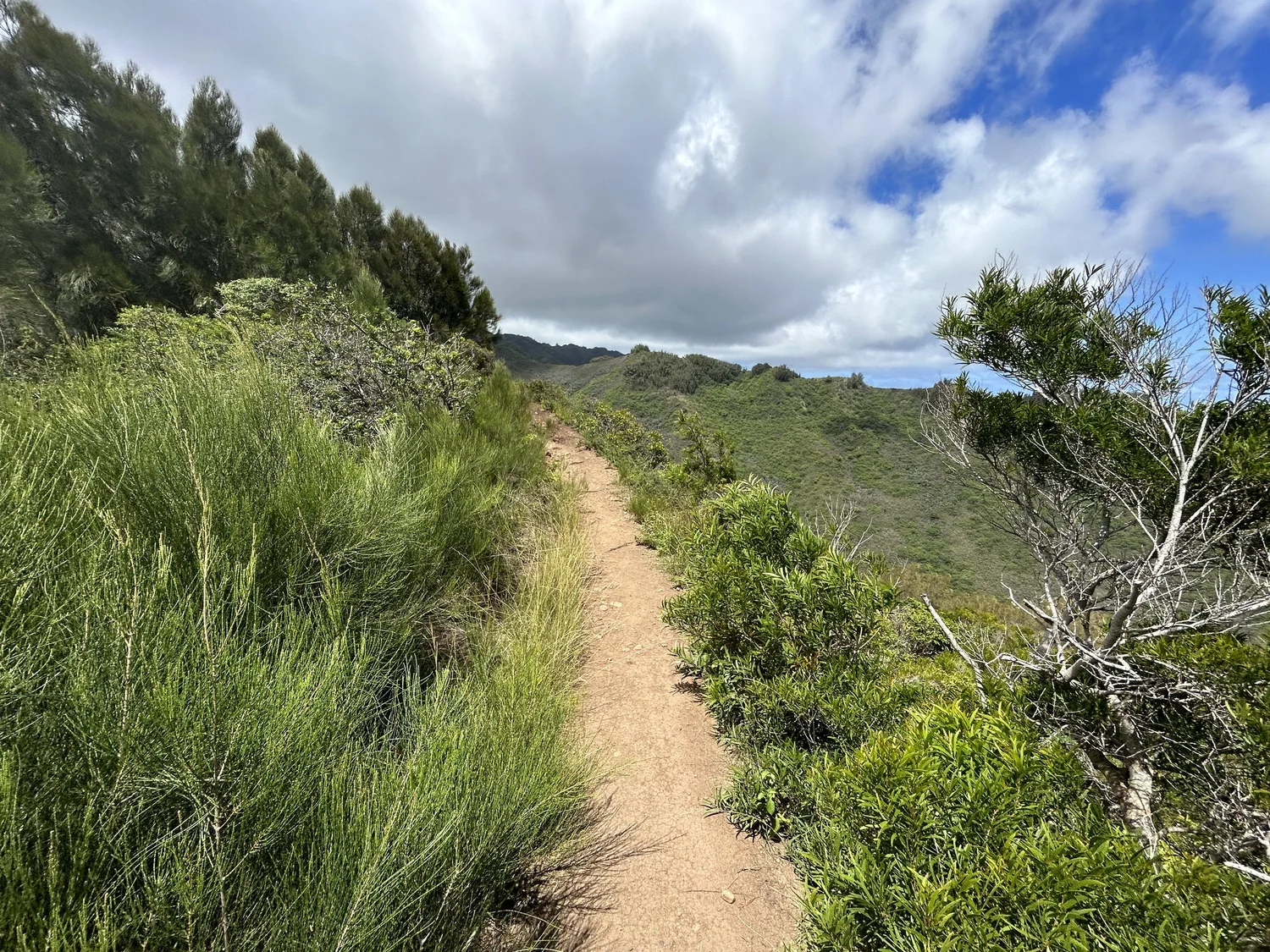 Hiking the Hawaiʻi Loa Ridge Trail on Oʻahu, Hawaiʻi — noahawaii