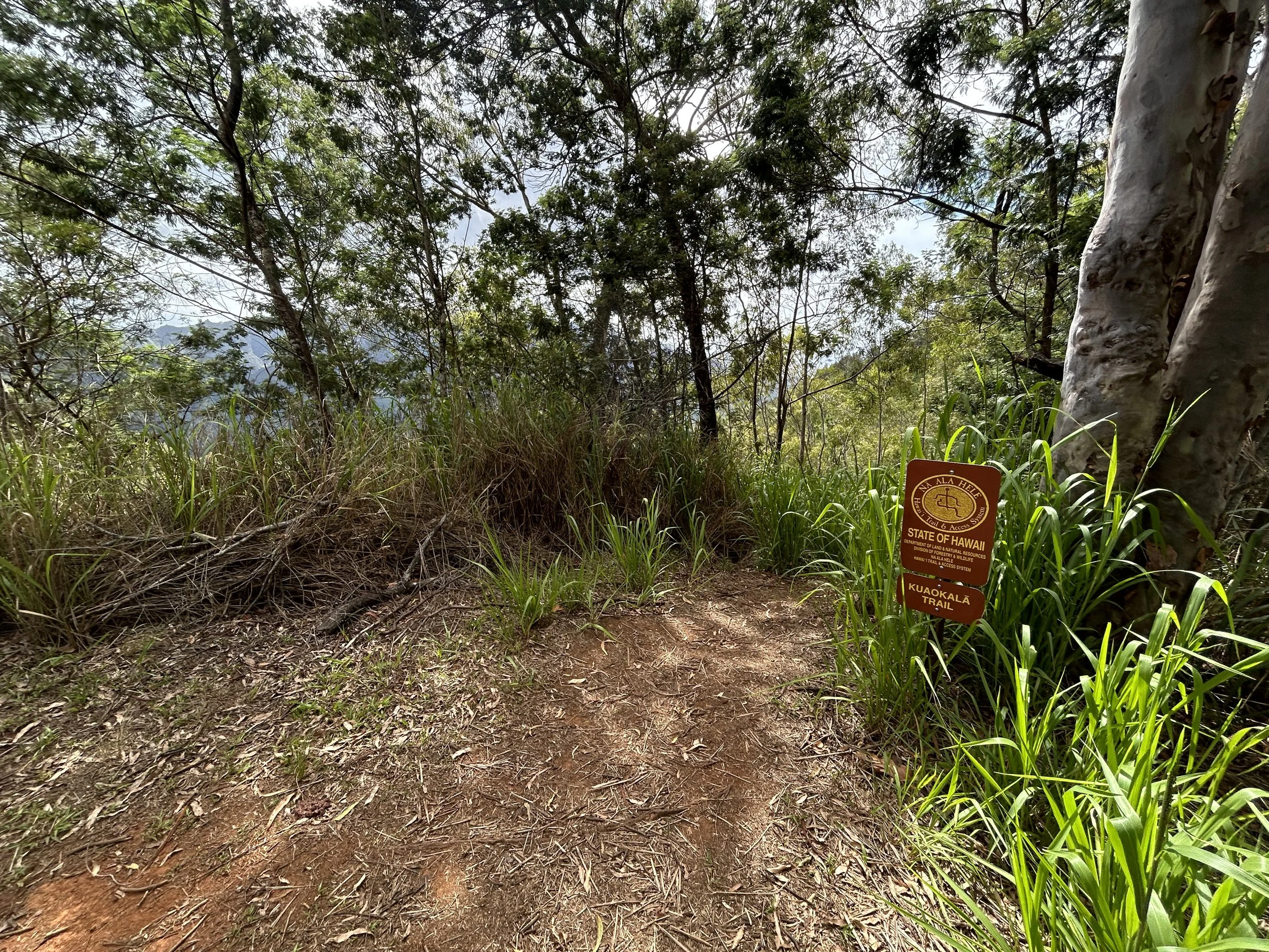 Hiking the Keālia Trail on Oʻahu's North Shore — noahawaii