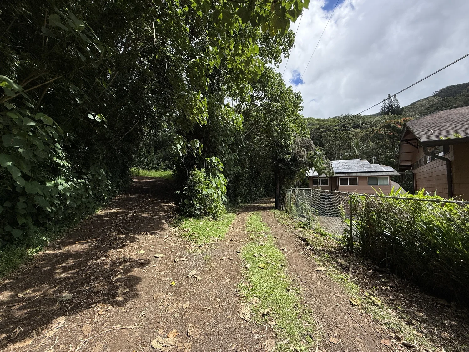 Hiking the Mānoa Middle Ridge Trail on Oʻahu, Hawaiʻi — noahawaii