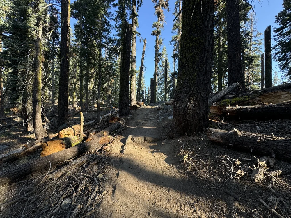 Hiking the Long Meadow Loop Trail in Sequoia National Park — noahawaii