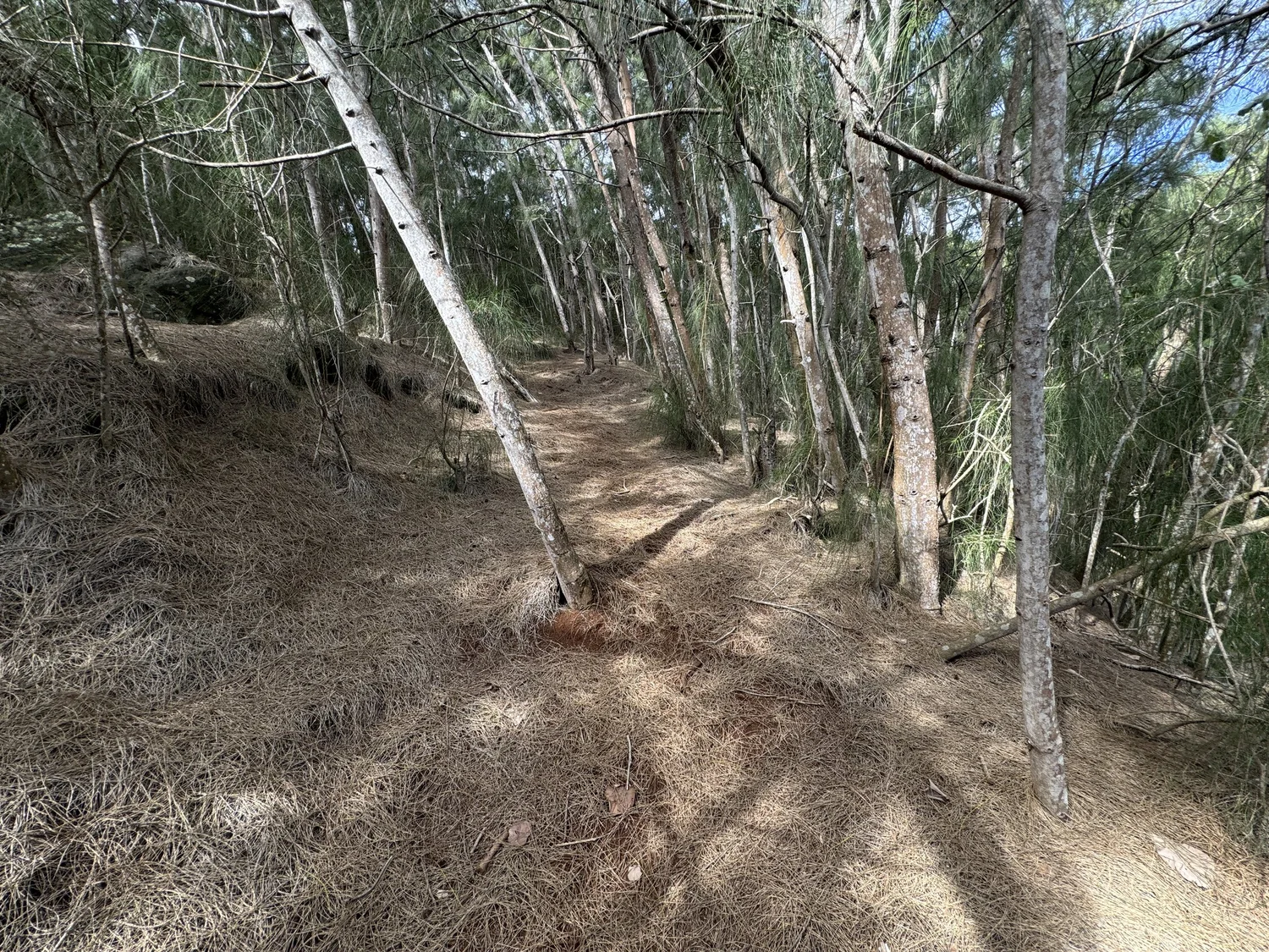 Hiking the Kaipapaʻu Pillbox Trail on the North Shore of Oʻahu, Hawaiʻi ...