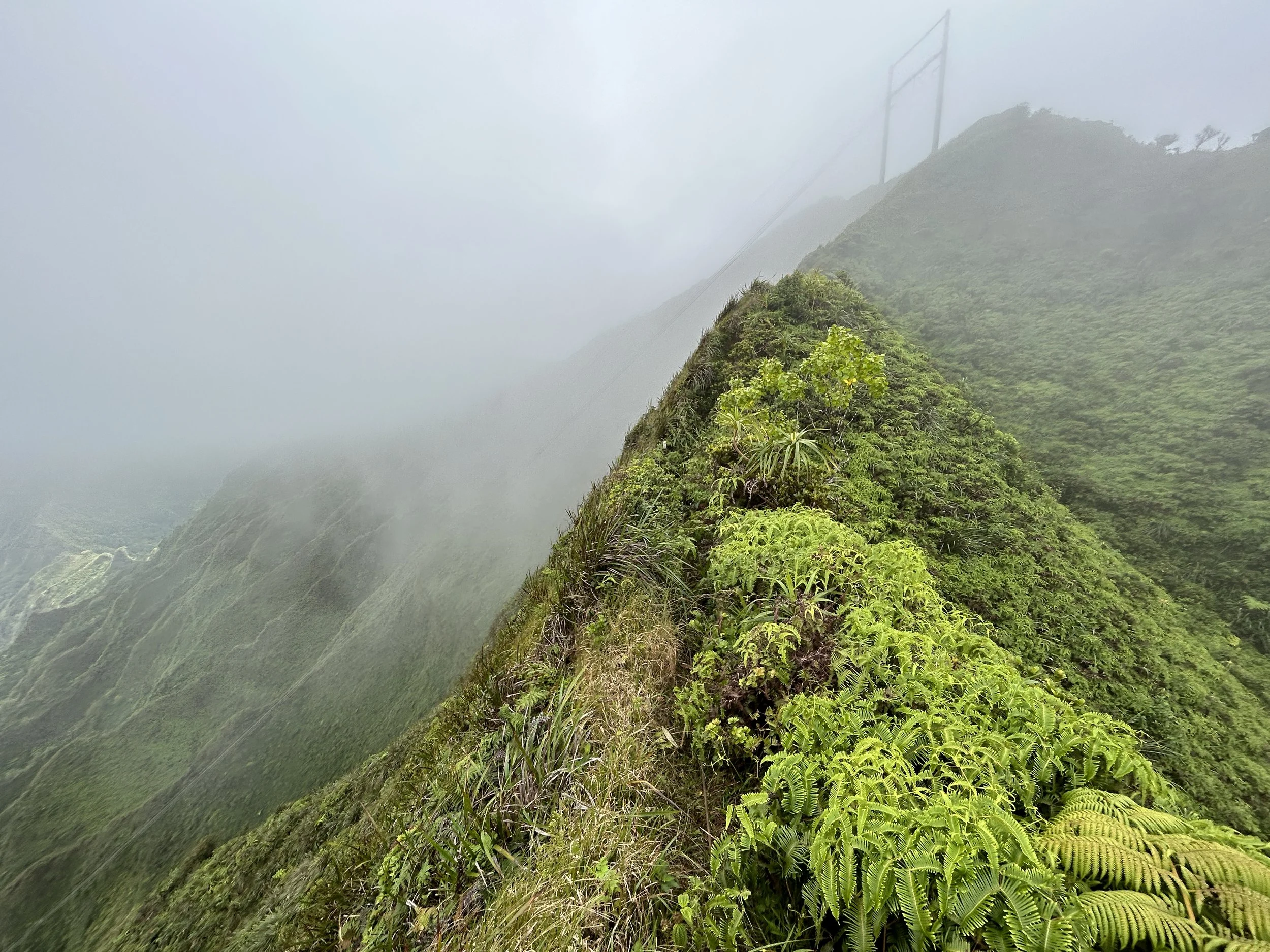 Hiking Oʻahu's Koʻolau Summit Trail (KST) North to South — noahawaii