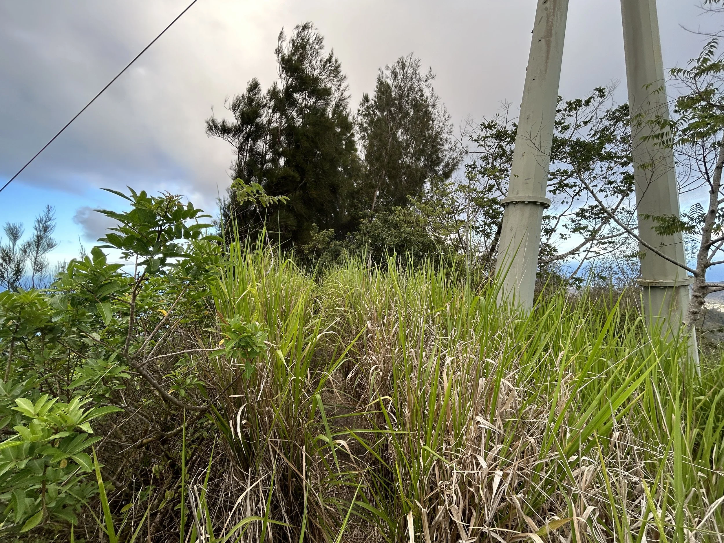 Hiking the Pyramid Rock Loop Trail on Oʻahu — noahawaii
