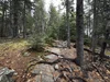 Hiking the Flying Mountain Trail in Acadia National Park — noahawaii