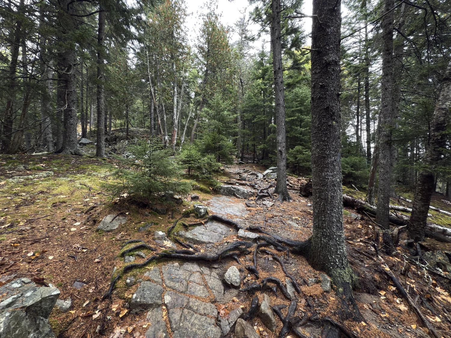 Hiking the Flying Mountain Trail in Acadia National Park — noahawaii