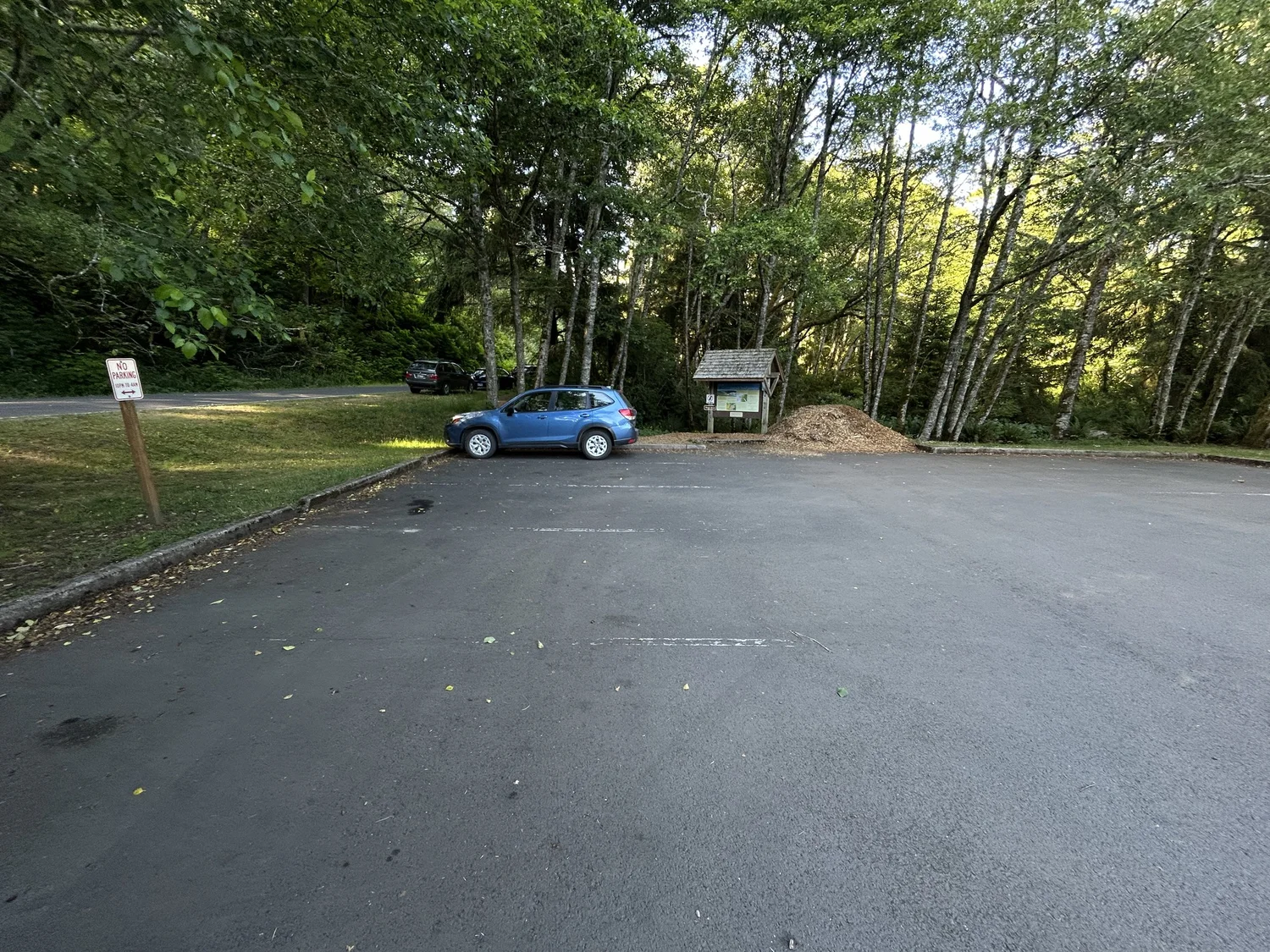 Hiking the Lower Cascade Head Trail on the Oregon Coast — noahawaii