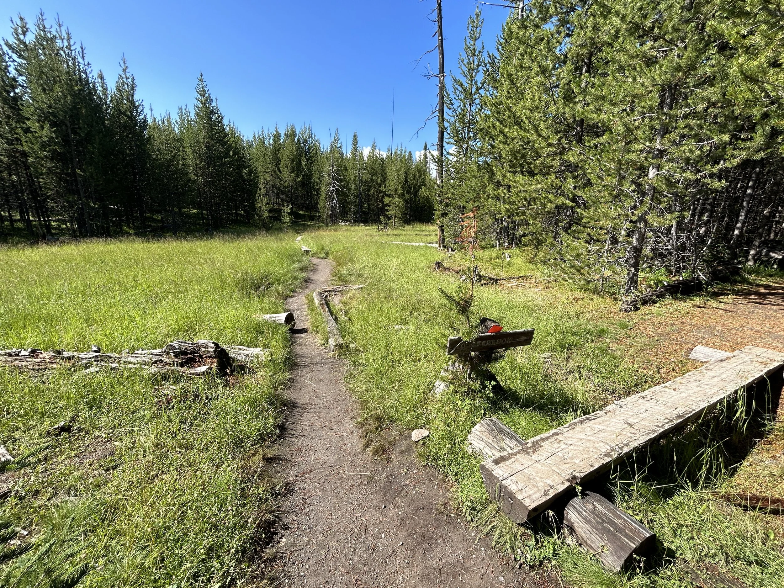 Hiking the Yellowstone Lake Overlook Trail in Yellowstone National Park ...