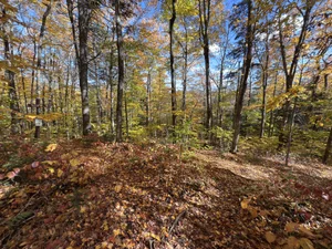 Hiking the Little Moose Pond Loop Trail in Greenville, Maine — noahawaii