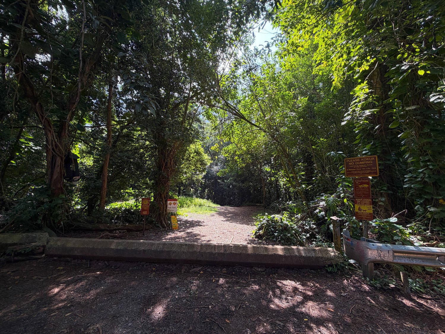 Hiking the Judd Trail & Jackass Ginger Pool on Oʻahu, Hawaiʻi — noahawaii