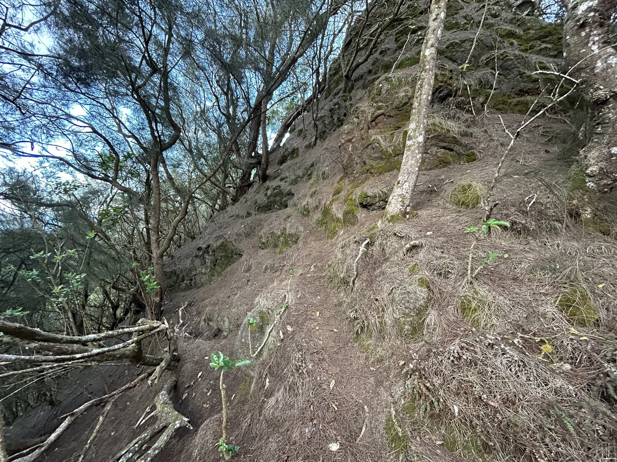 Hiking the Pyramid Rock Loop Trail on Oʻahu — noahawaii