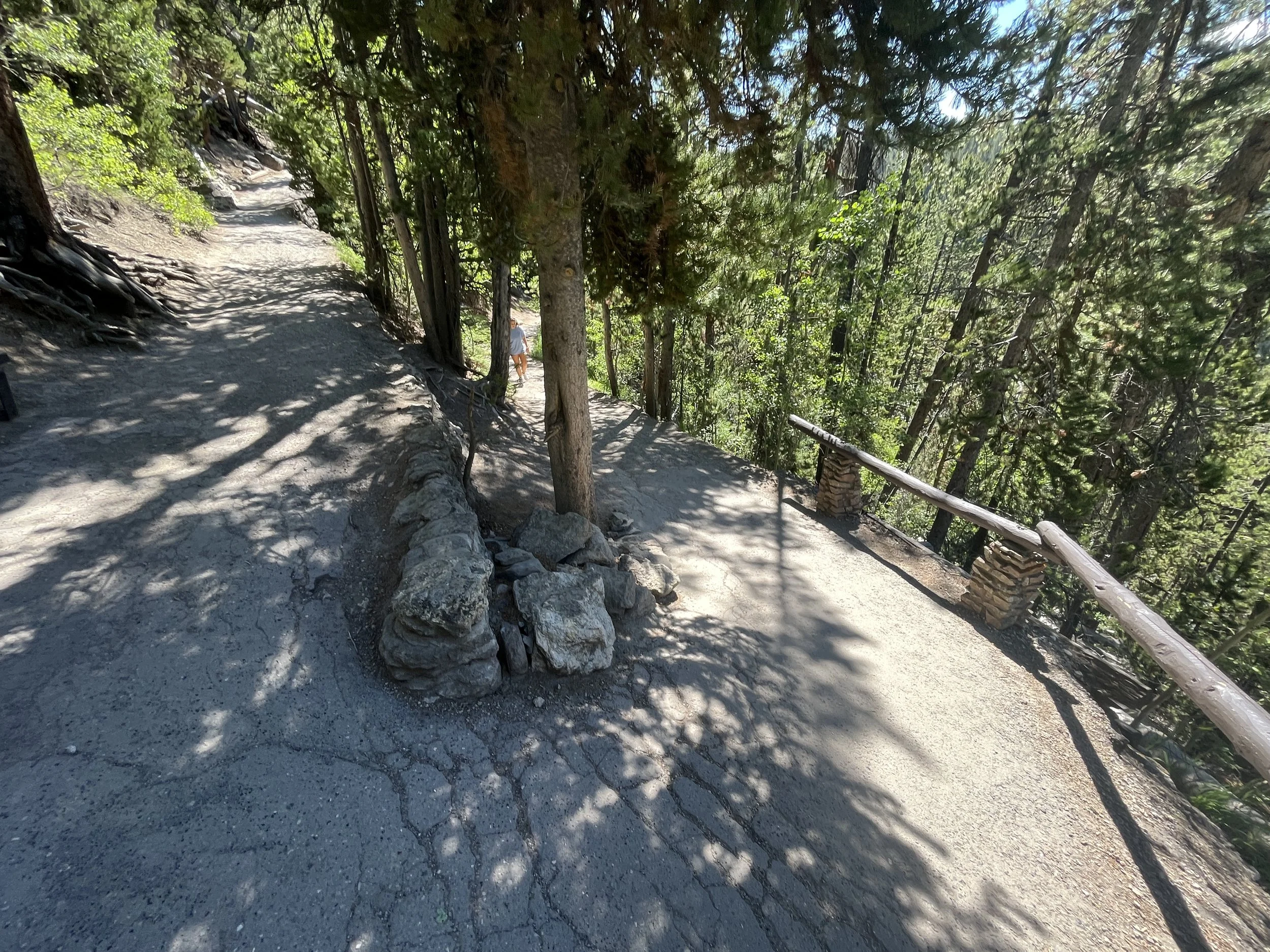 Hiking the Brink of the Lower Falls Trail in Yellowstone National Park ...