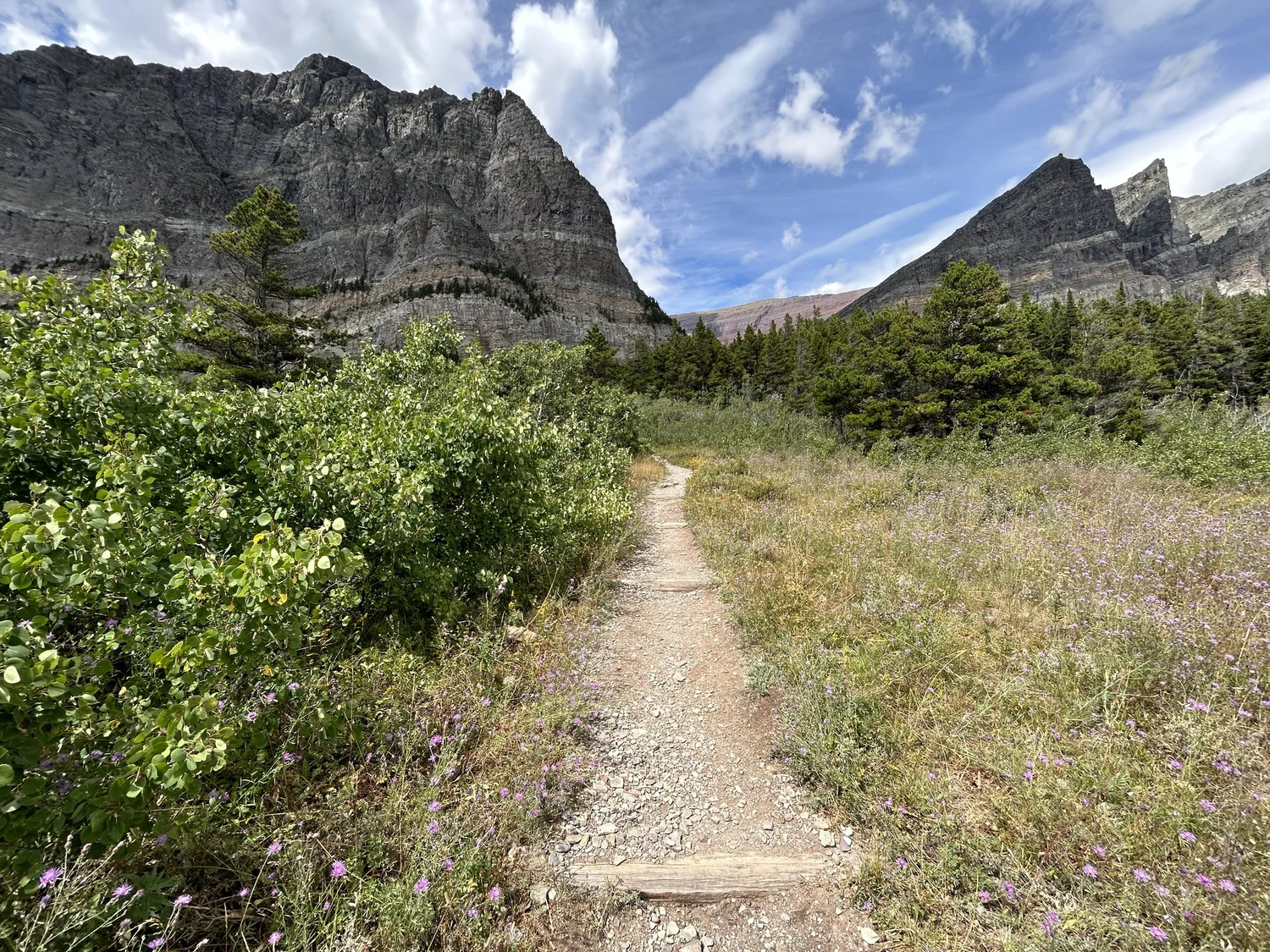 Hiking the Apikuni Falls Trail in Glacier National Park — noahawaii