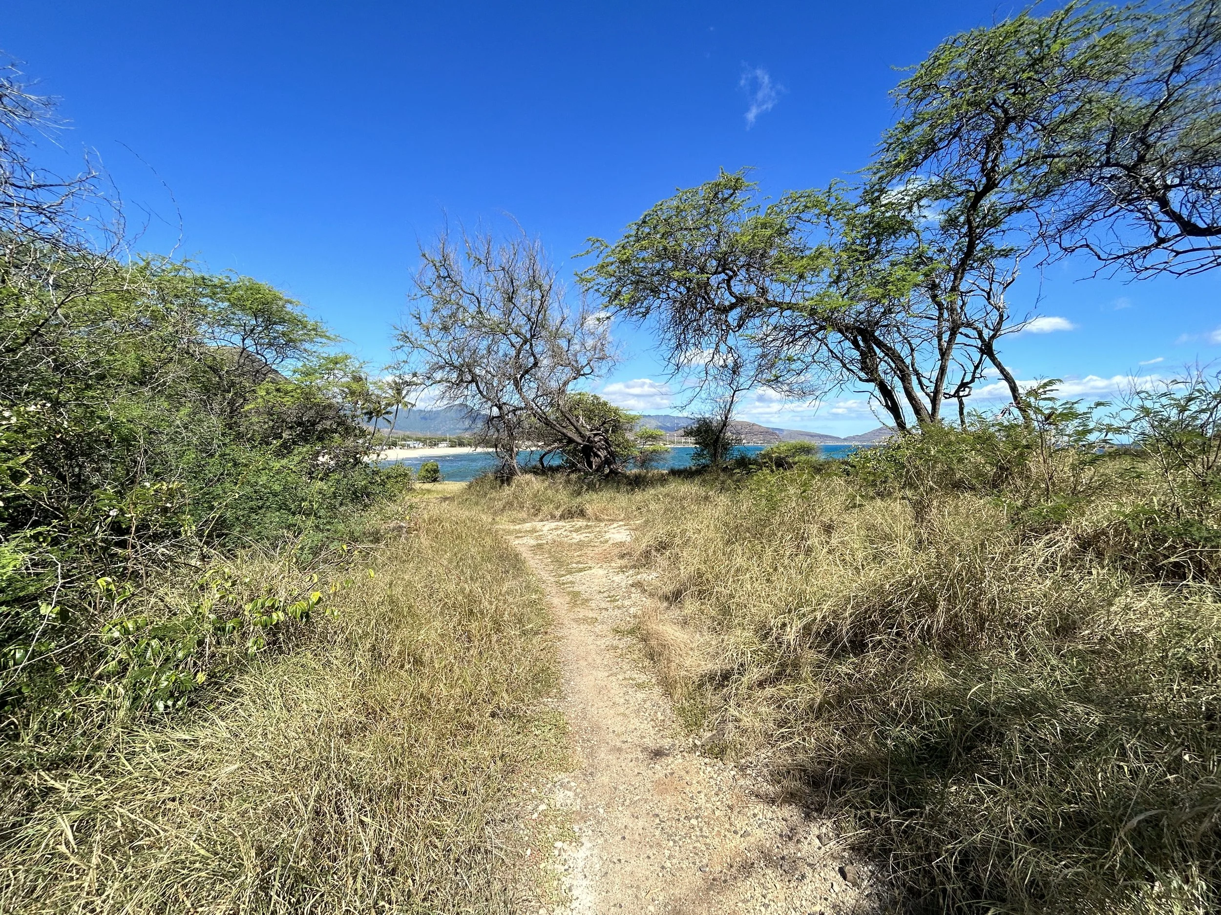 Hiking the Mauna Lahilahi Trail (Turtle Rock) on Oʻahu, Hawaiʻi — noahawaii