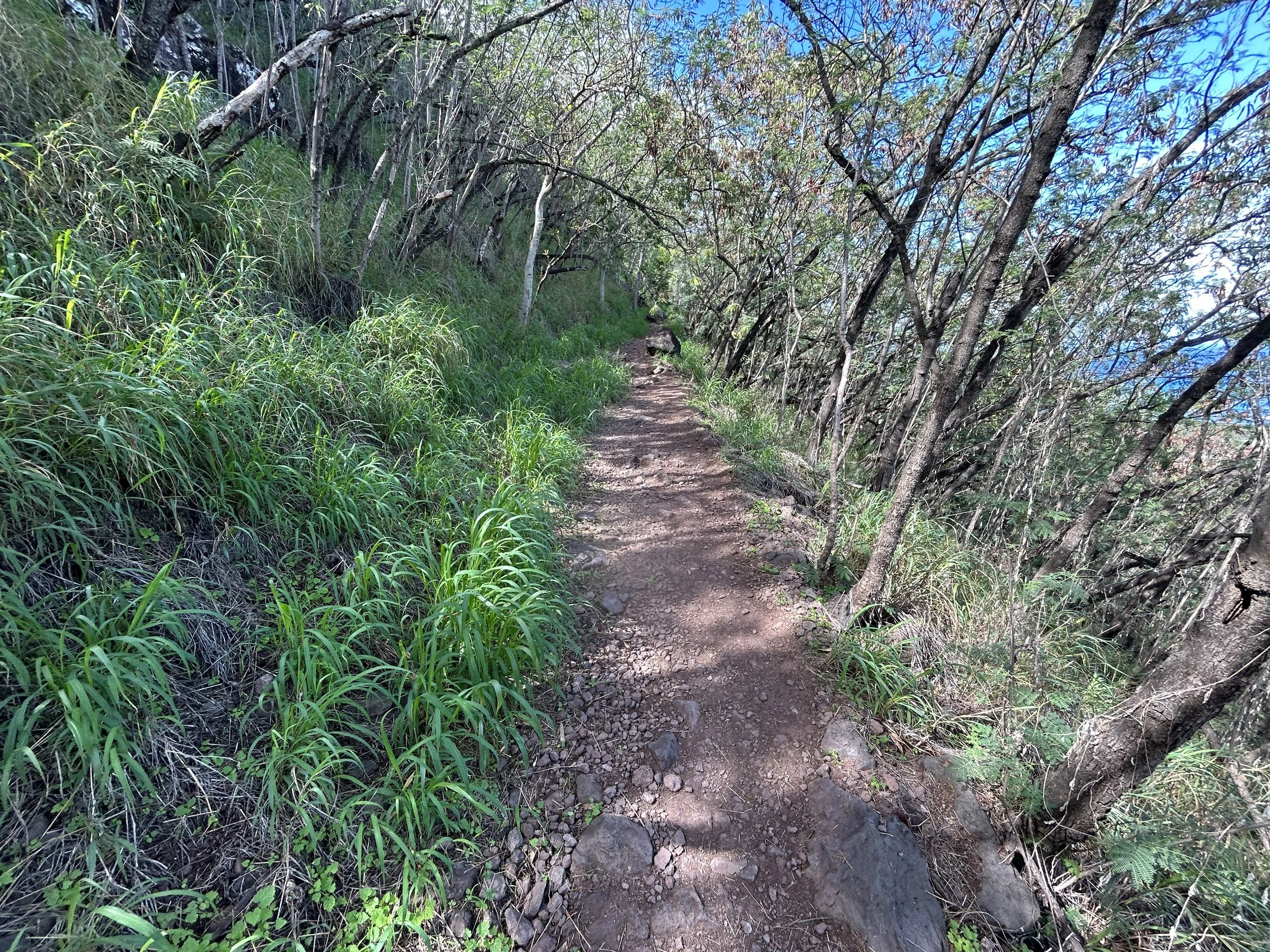 Hiking the Keālia Trail on Oʻahu's North Shore — noahawaii