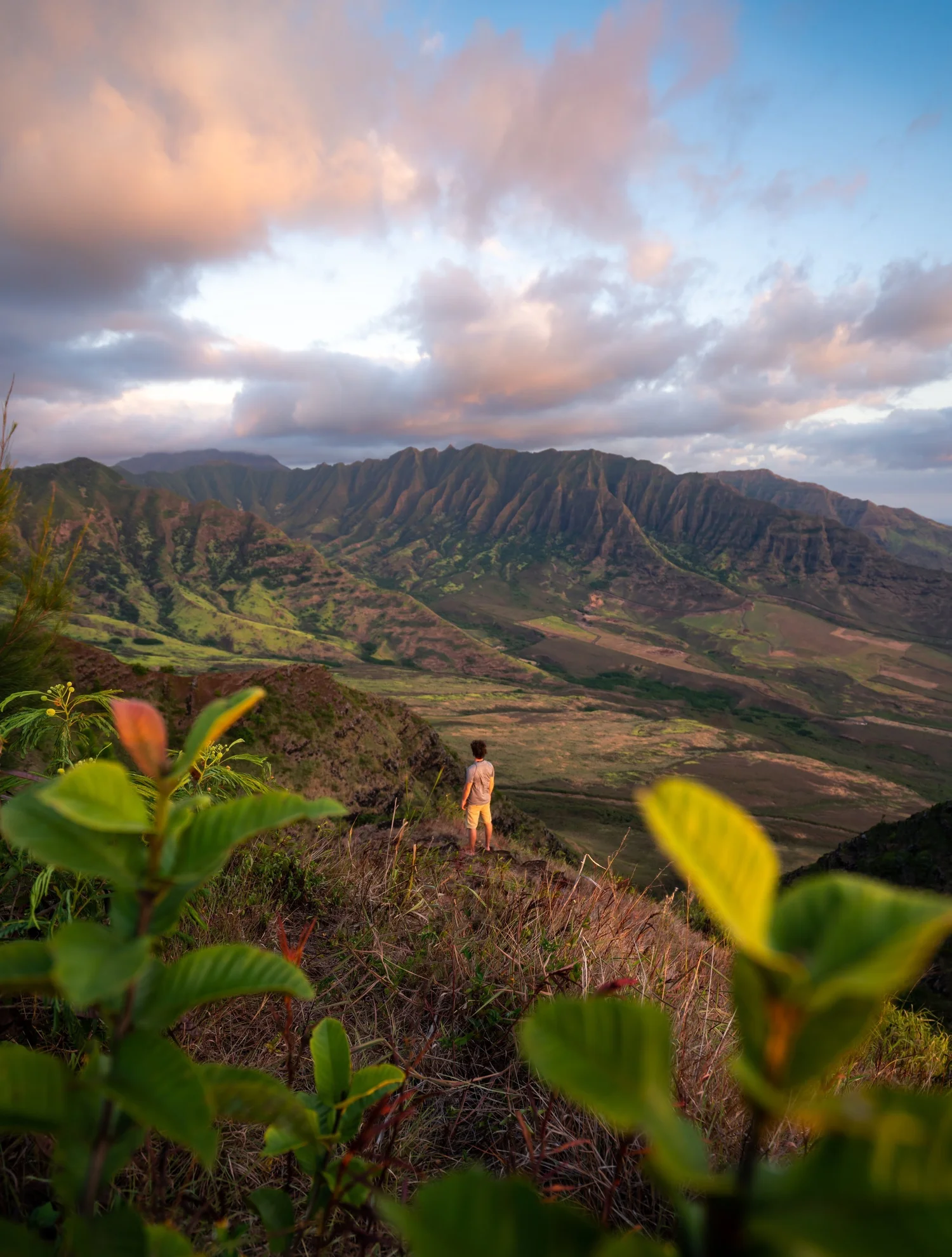 10 Best Trail Runs on Oʻahu, Hawaiʻi — noahawaii