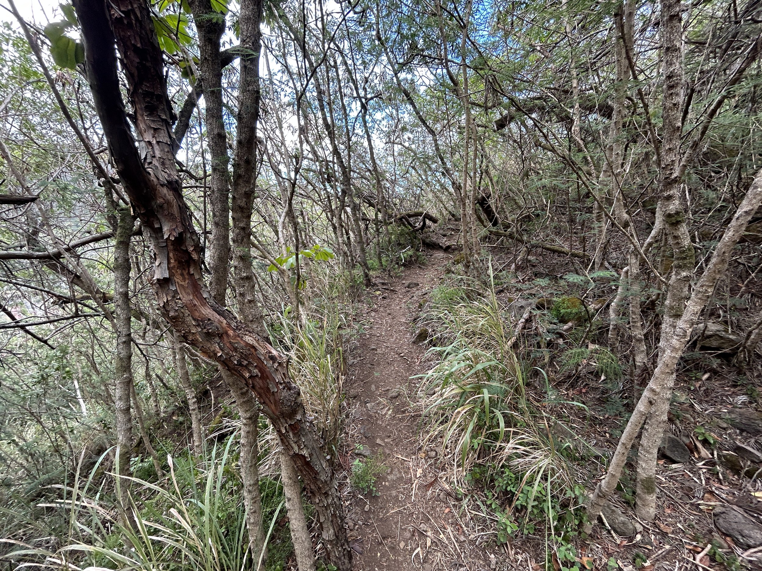 Hiking the Pyramid Rock Loop Trail on Oʻahu — noahawaii