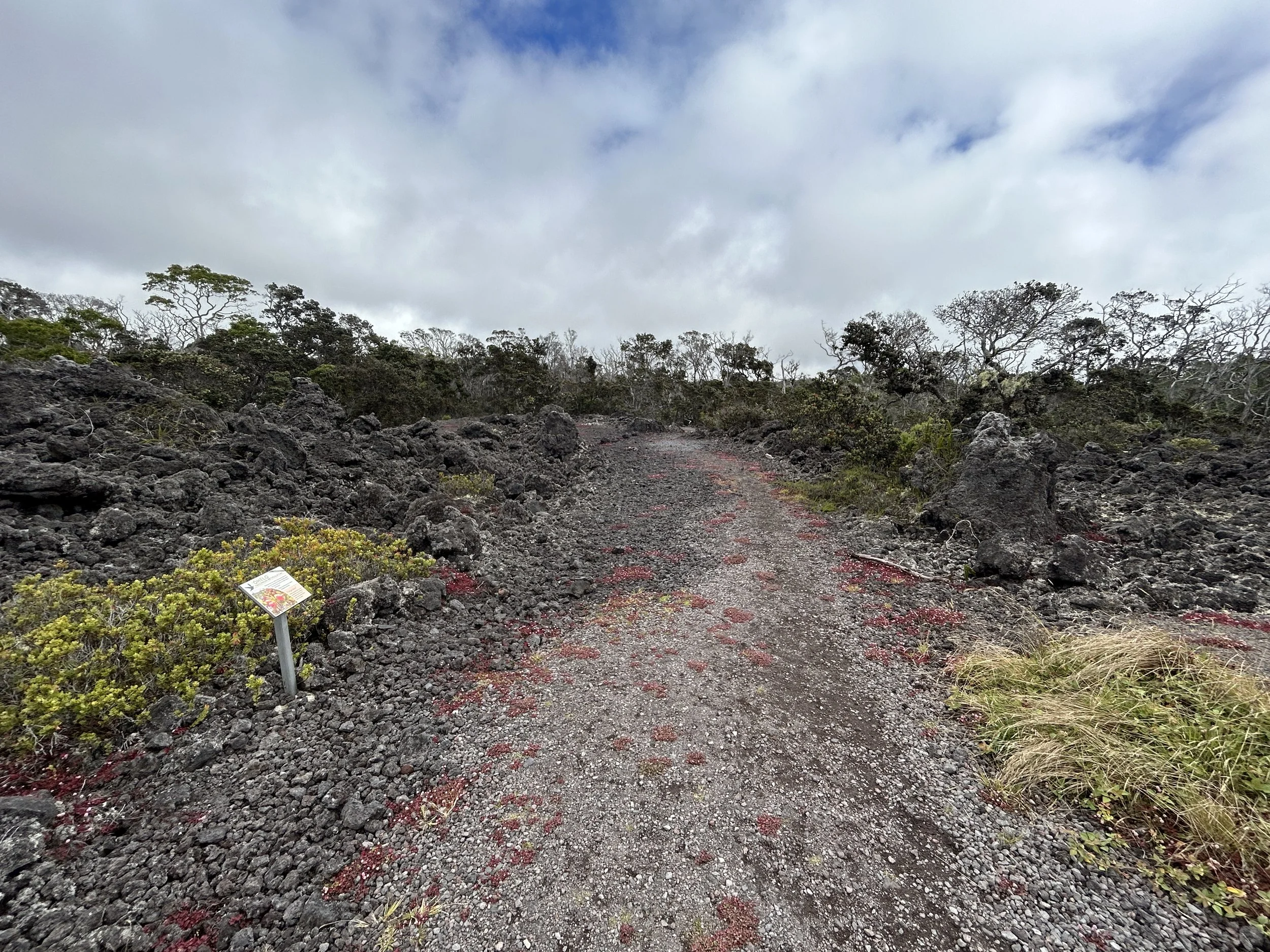 Hiking the Kaulana Manu Nature Trail on the Big Island of Hawaiʻi ...