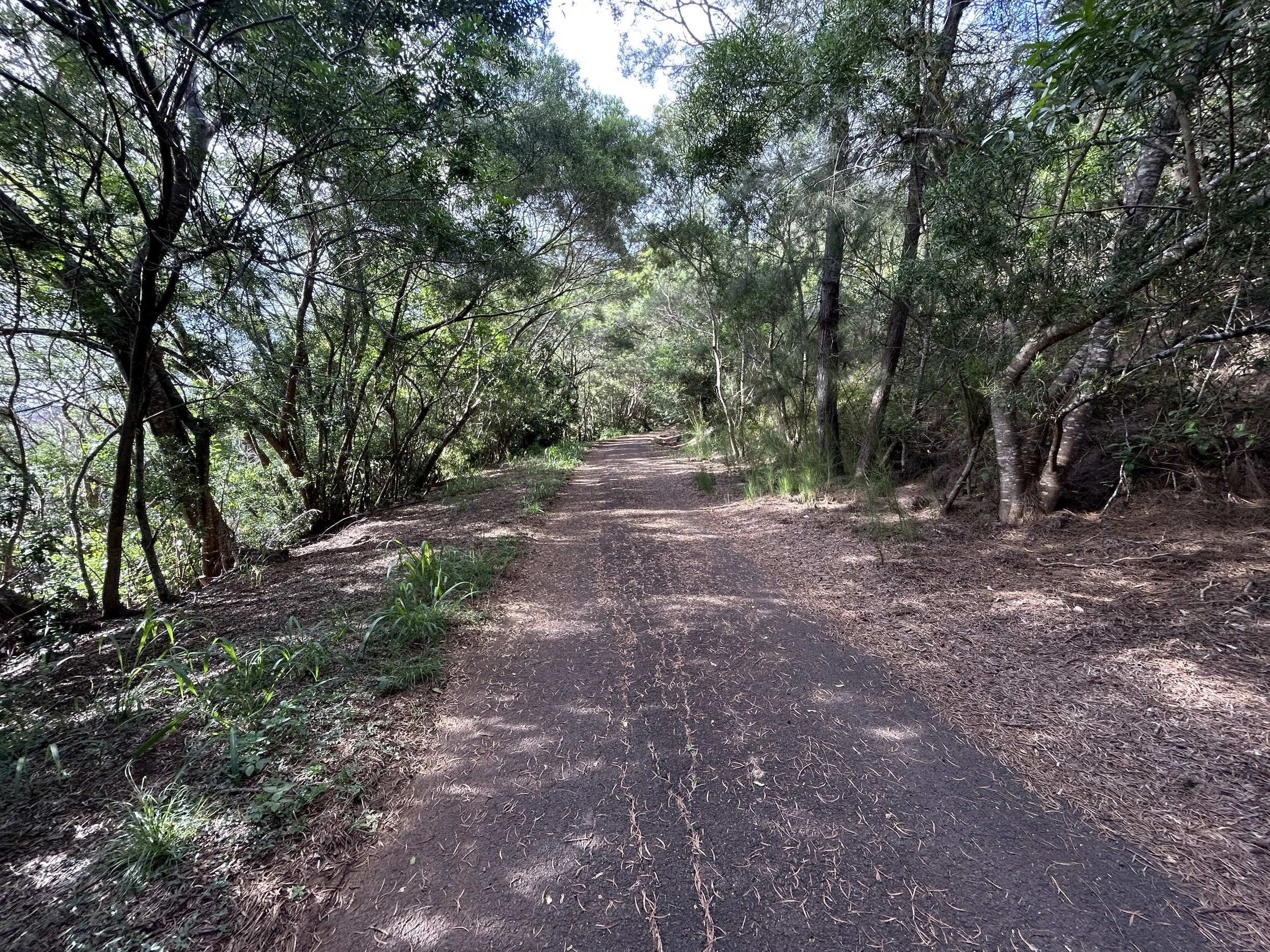 Hiking the Wiliwilinui Ridge Trail on Oʻahu, Hawaiʻi — noahawaii