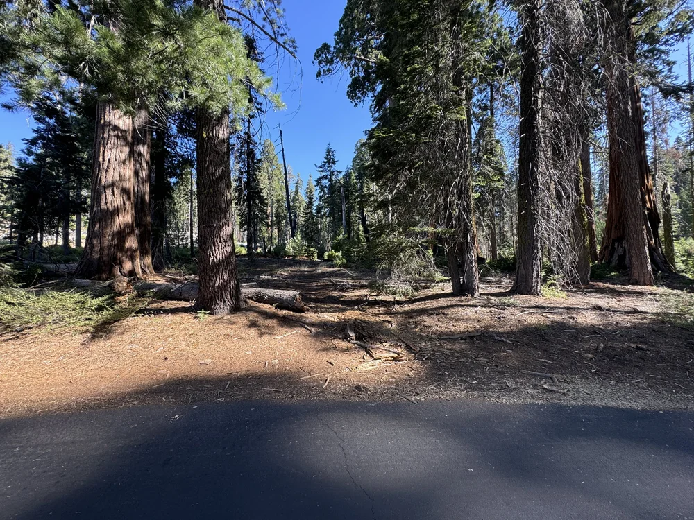 Hiking the Dead Giant Trail in Sequoia National Park — noahawaii