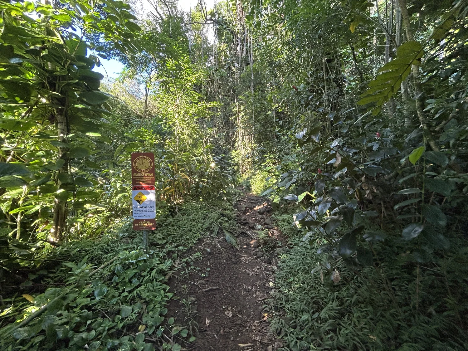 Hiking the Kolowalu Trail to Waʻahila Ridge on Oʻahu — noahawaii