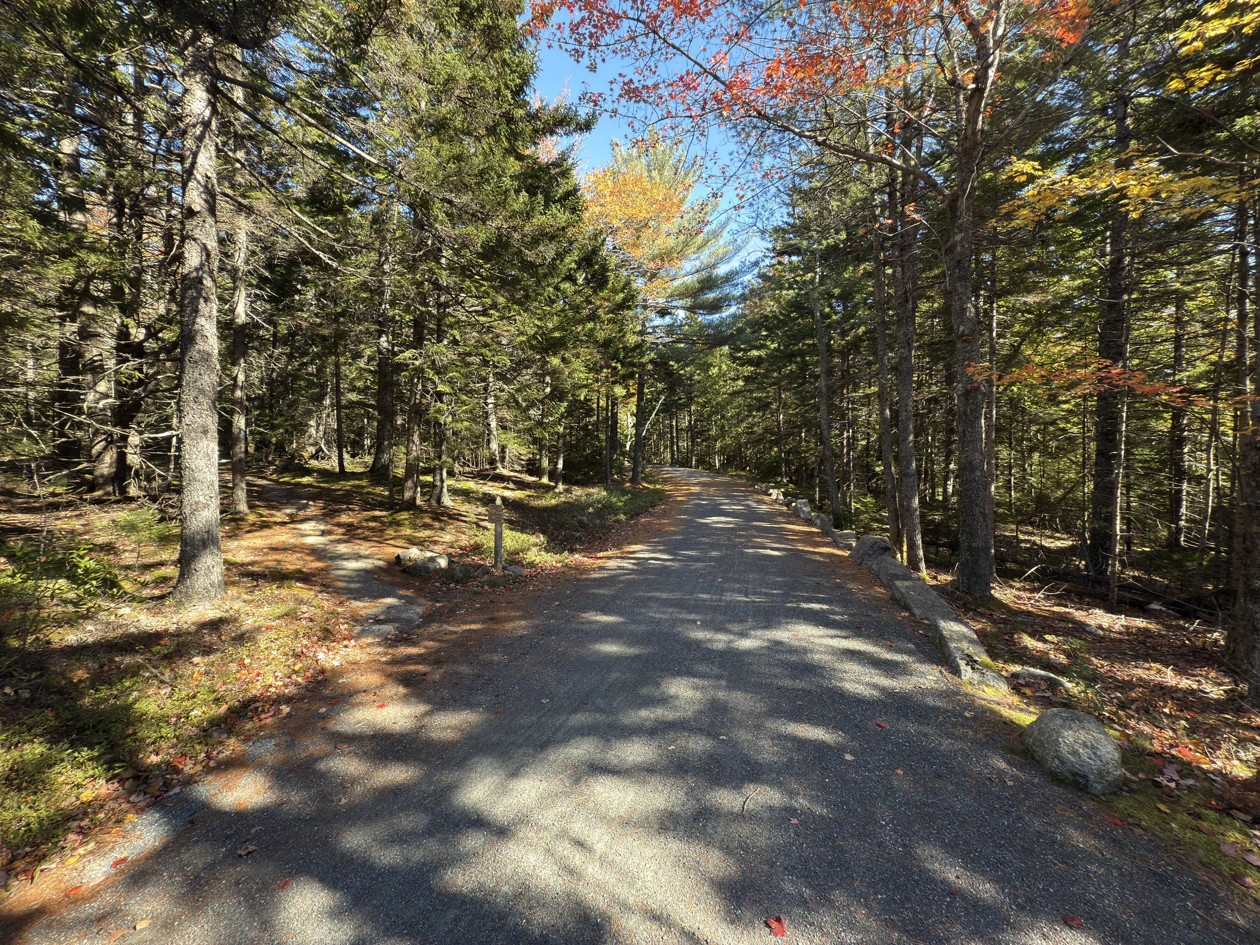 Hiking Cedar Swamp Mountain via Sargent South Ridge Trail in Acadia ...