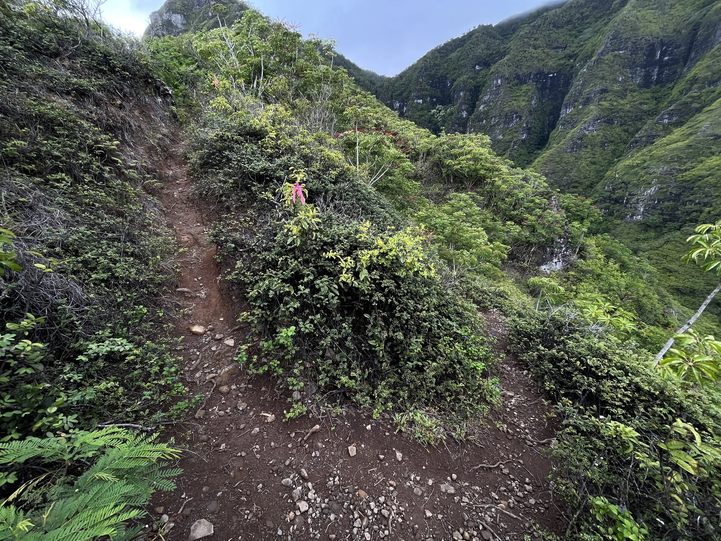 Hiking the Kahekili Ridge Trail & Pillbox on Oʻahu, Hawaiʻi — noahawaii