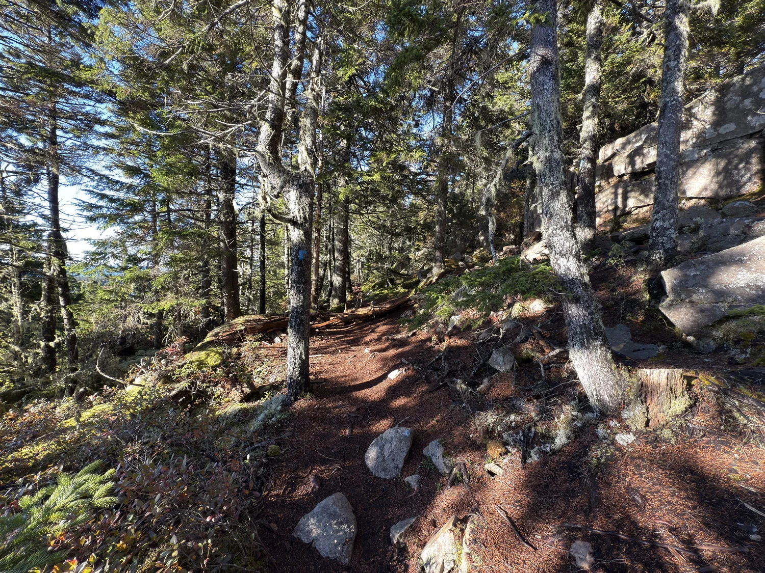Hiking the Anvil-Schoodic Head-Alder Loop Trail in Acadia National Park ...