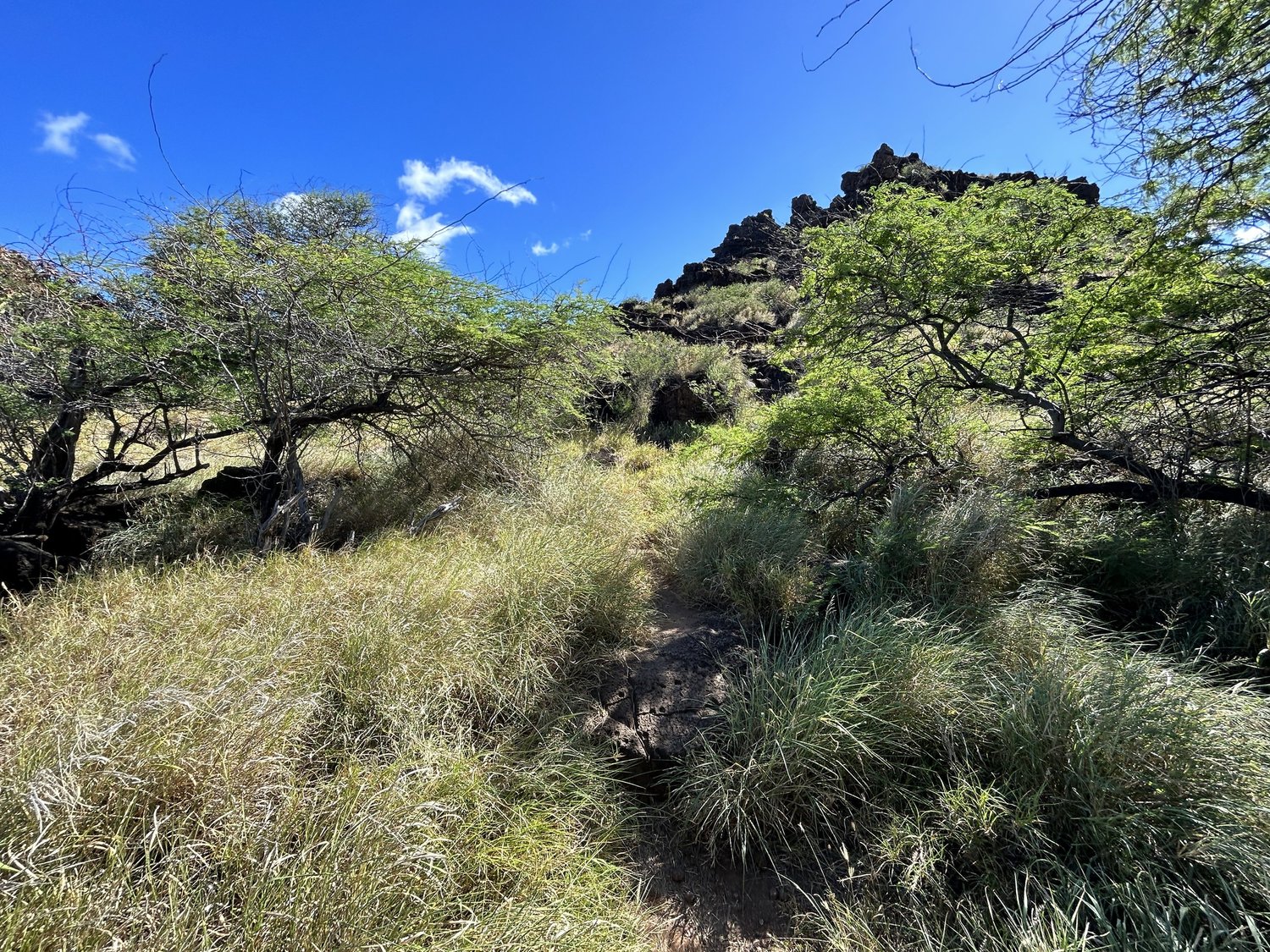 Hiking the Mauna Lahilahi Trail (Turtle Rock) on Oʻahu, Hawaiʻi — noahawaii
