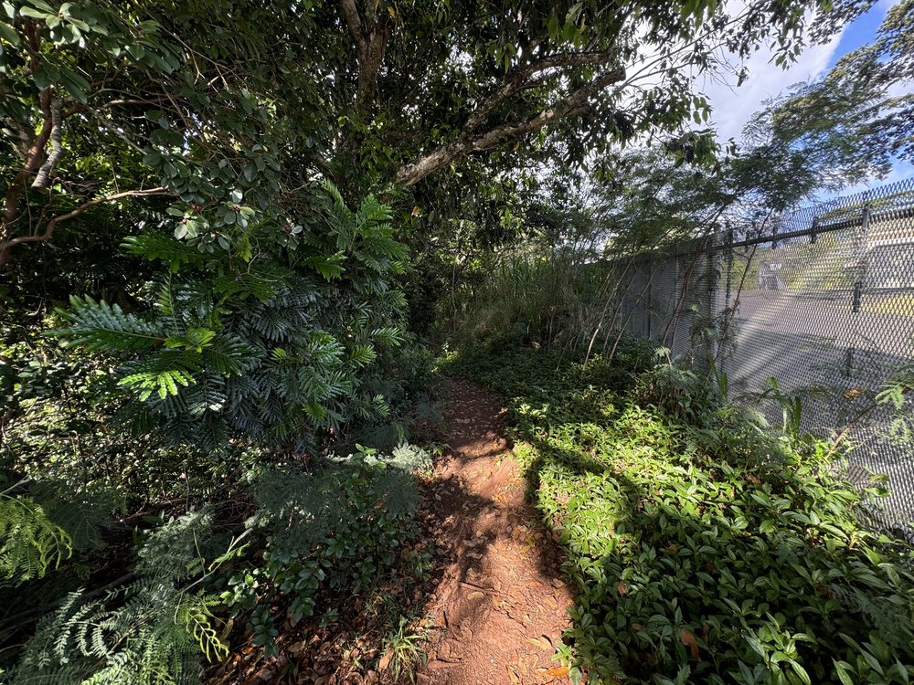 Hiking the Waimano Ridge Trail on Oʻahu, Hawaiʻi — noahawaii