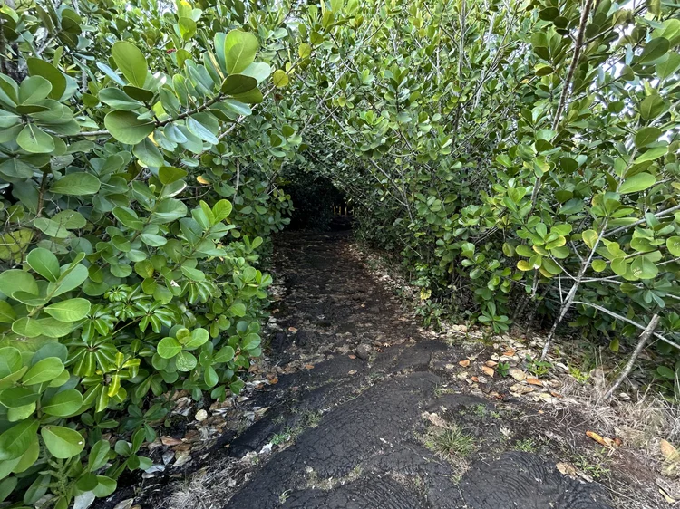 Hiking the Puna Trail to Hāʻena Beach on the Big Island of Hawaiʻi ...